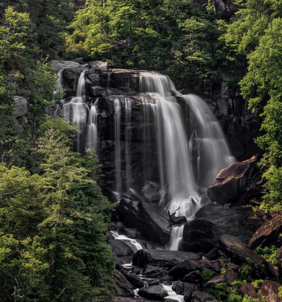 Hiking and Fishing at Trillium